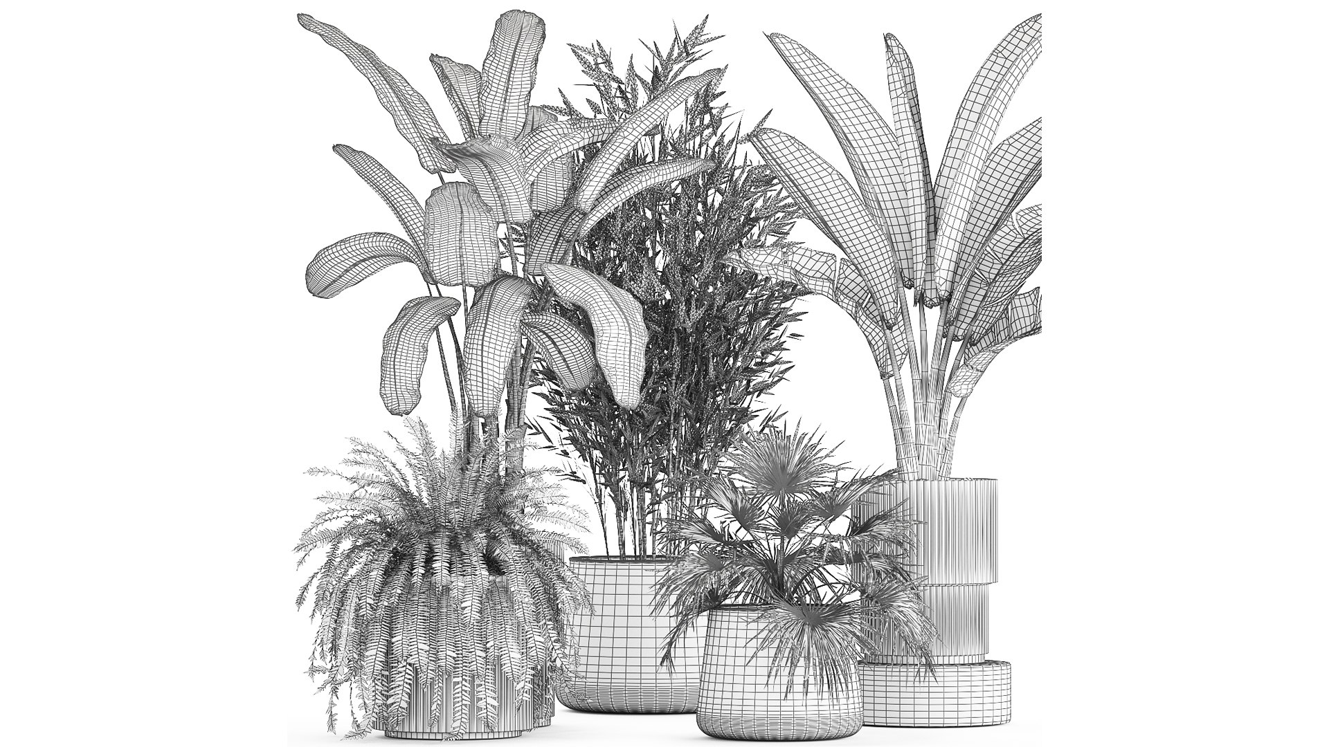 3D Beautiful Plants Bamboo Palm Banana In Flower Pots 1352 Model ...