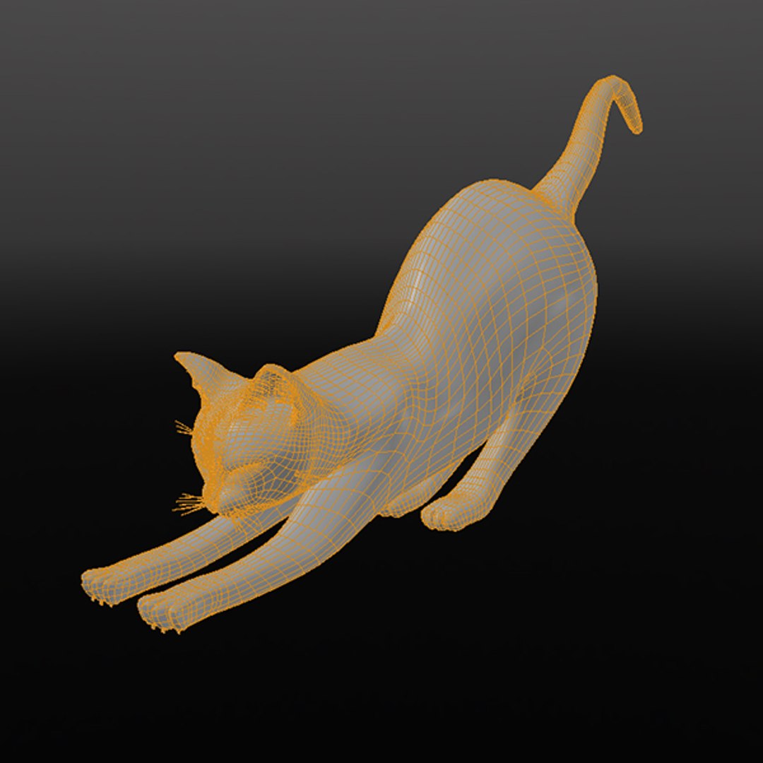 3d Cat Model