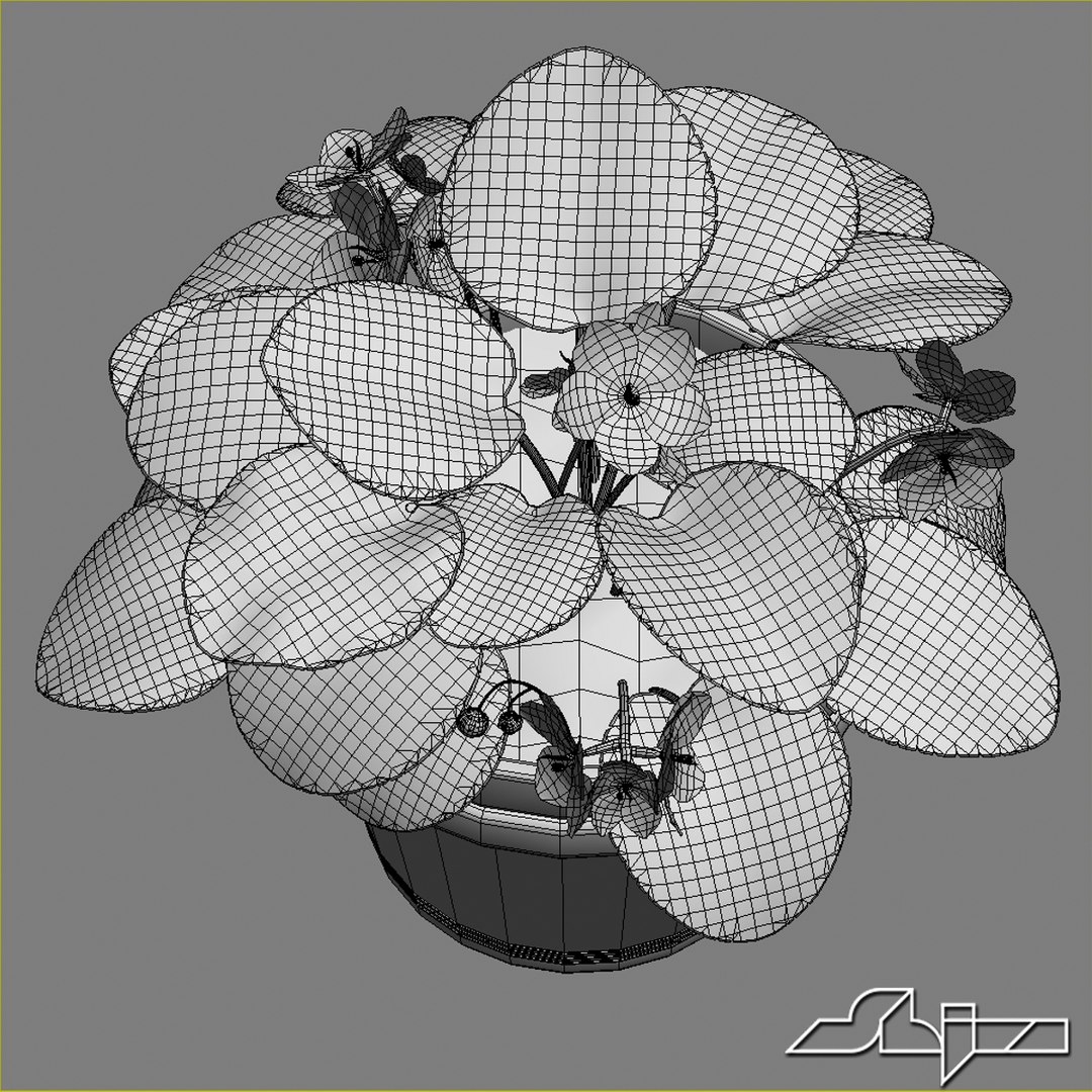 house plant violet flower 3d model