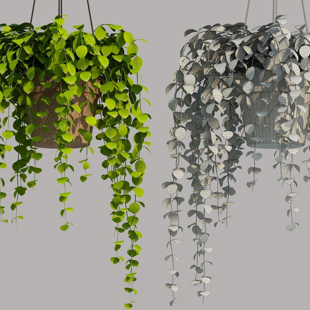 3 Plants Tree Model - TurboSquid 1313852