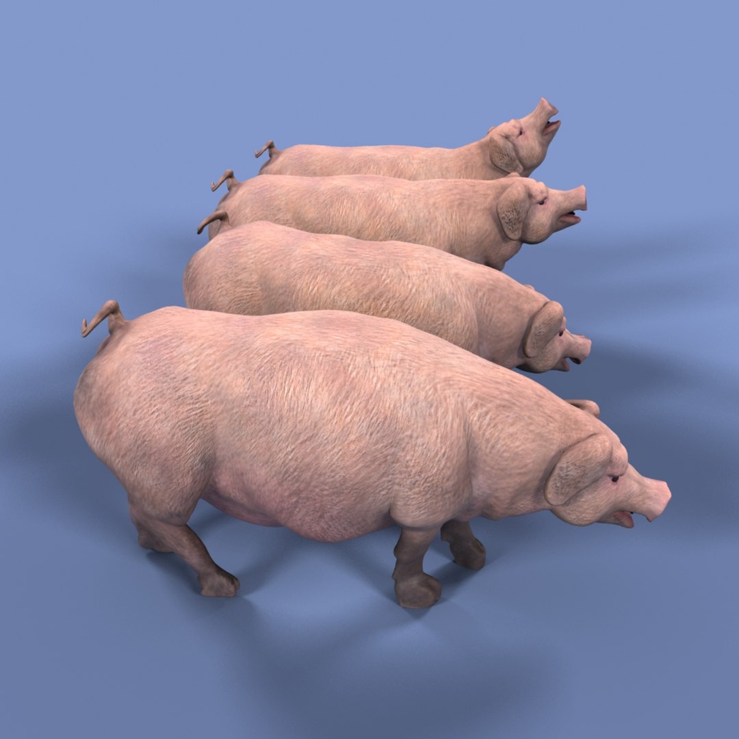 Pig 3d Max