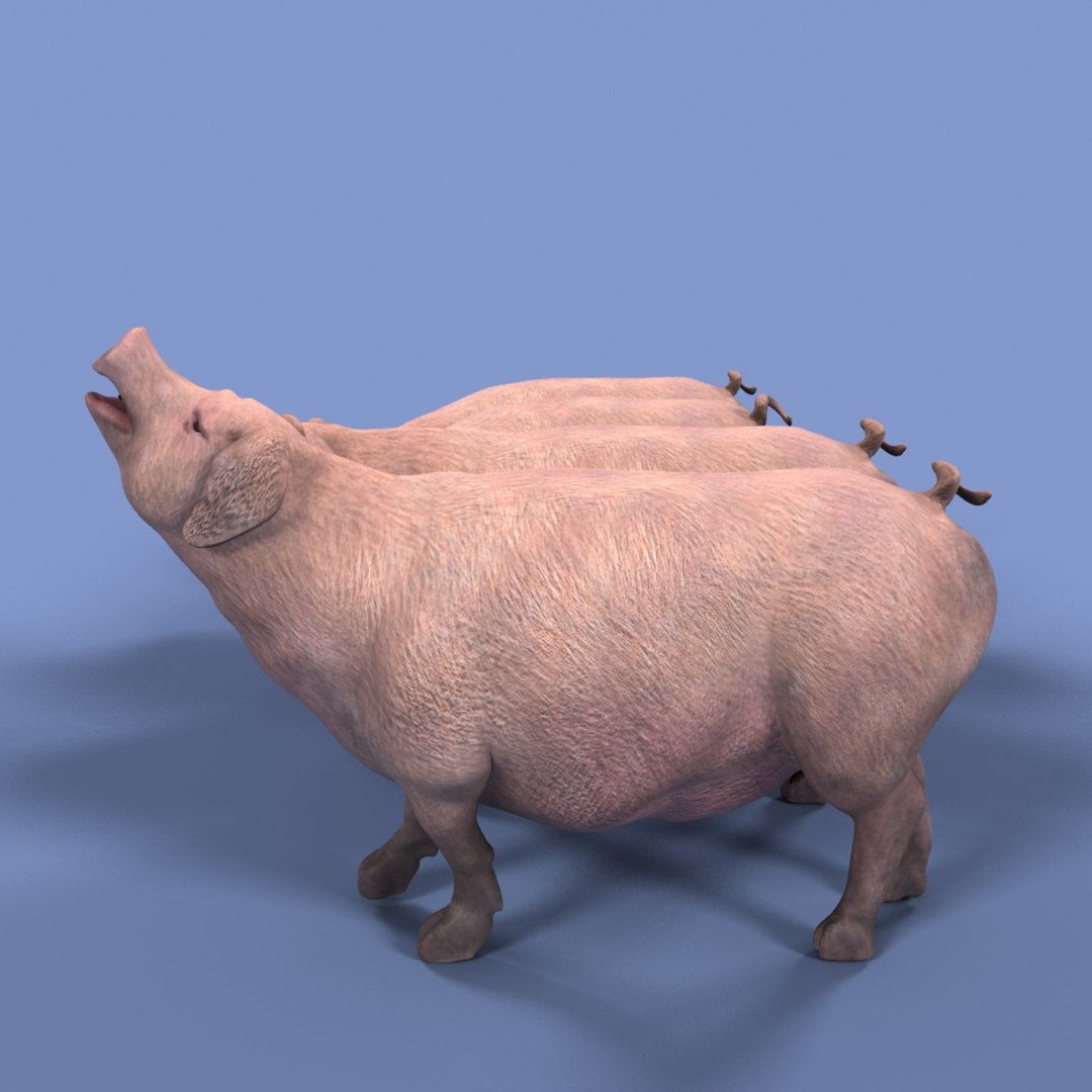 Pig 3d Max