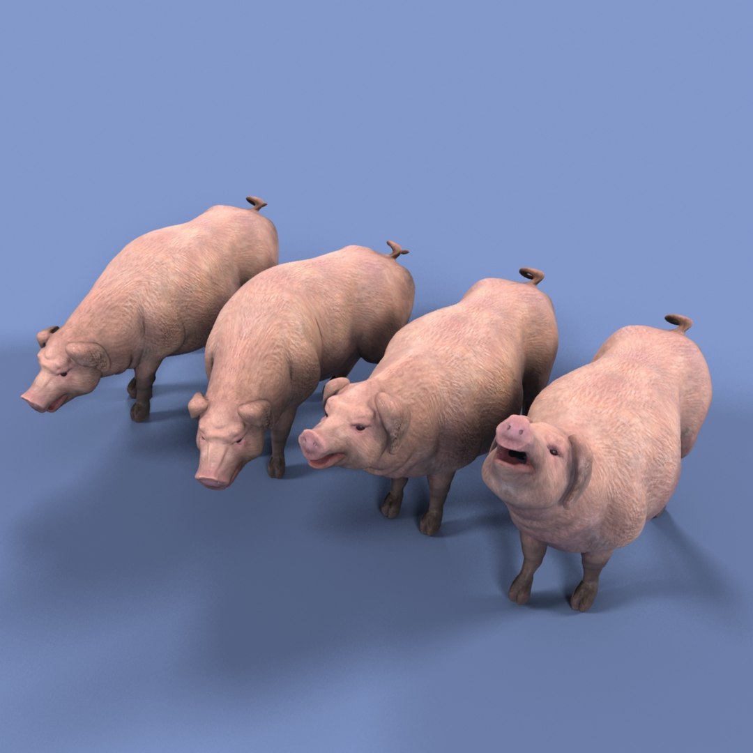 Pig 3d Max