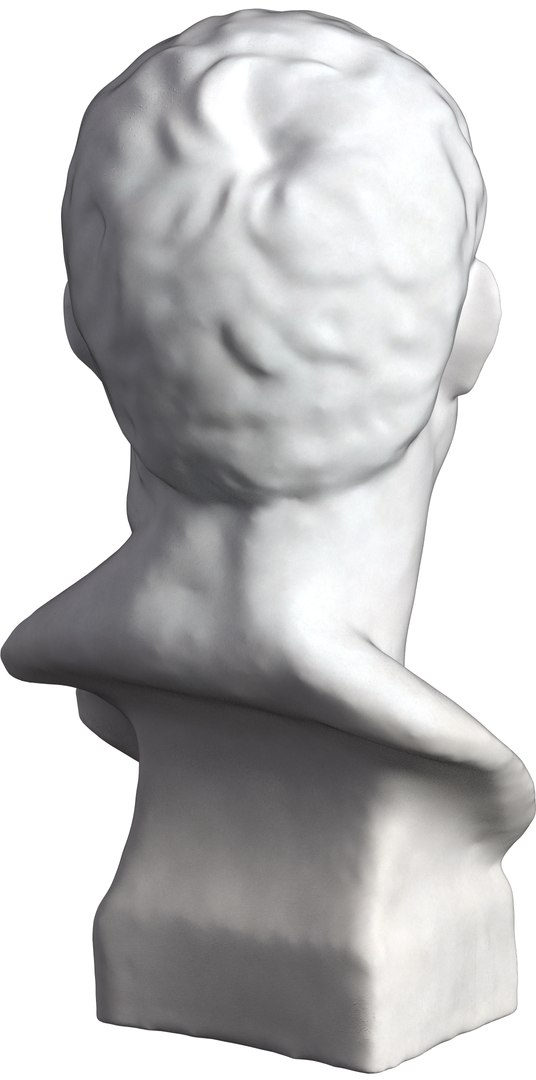 Free 3D Plaster Models - TurboSquid 2250024