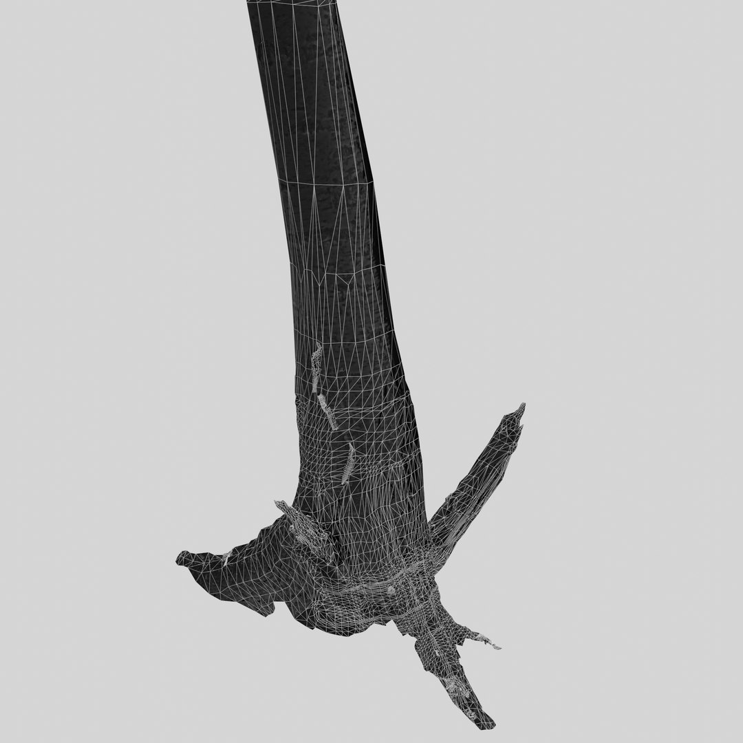 Mid-poly Tree Trunk 3D Model - TurboSquid 1550428