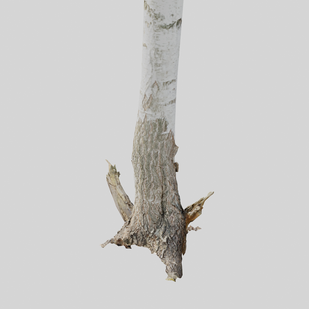 Mid-poly Tree Trunk 3D Model - TurboSquid 1550428