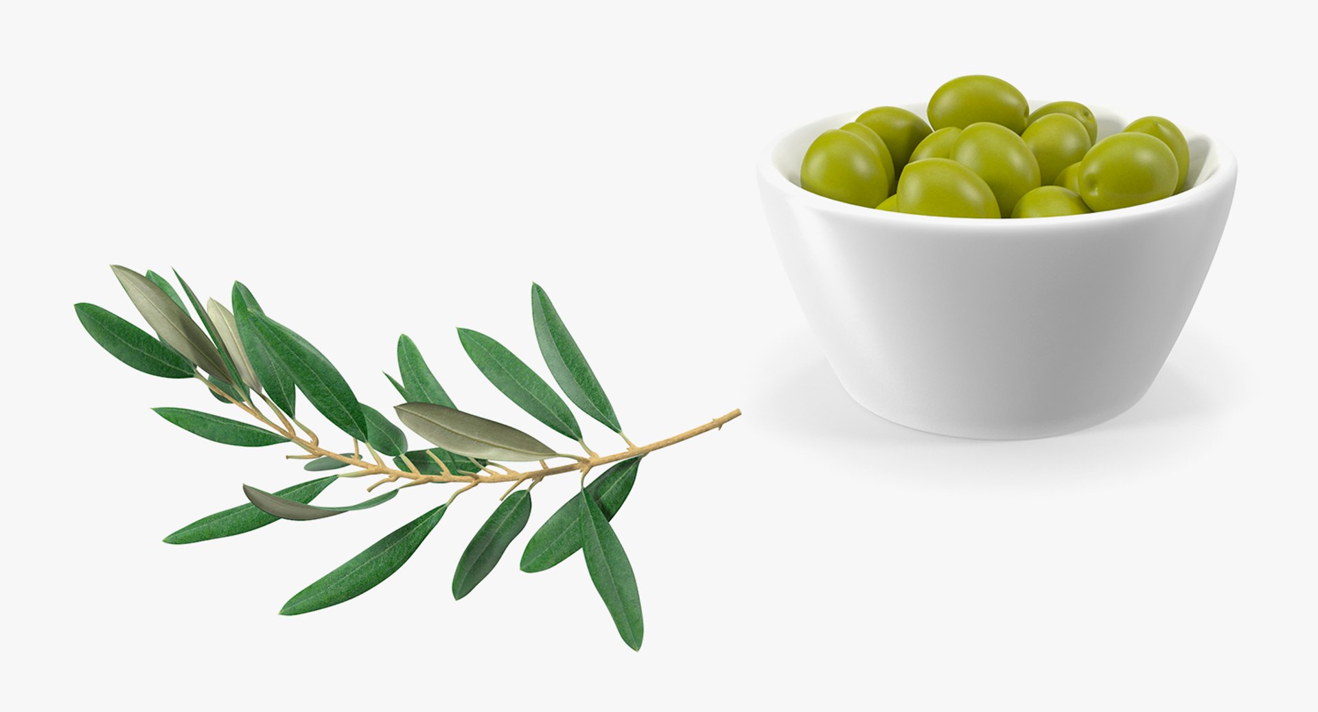 3D Fresh Green Olives With Olive Tree Branch Collection - TurboSquid ...