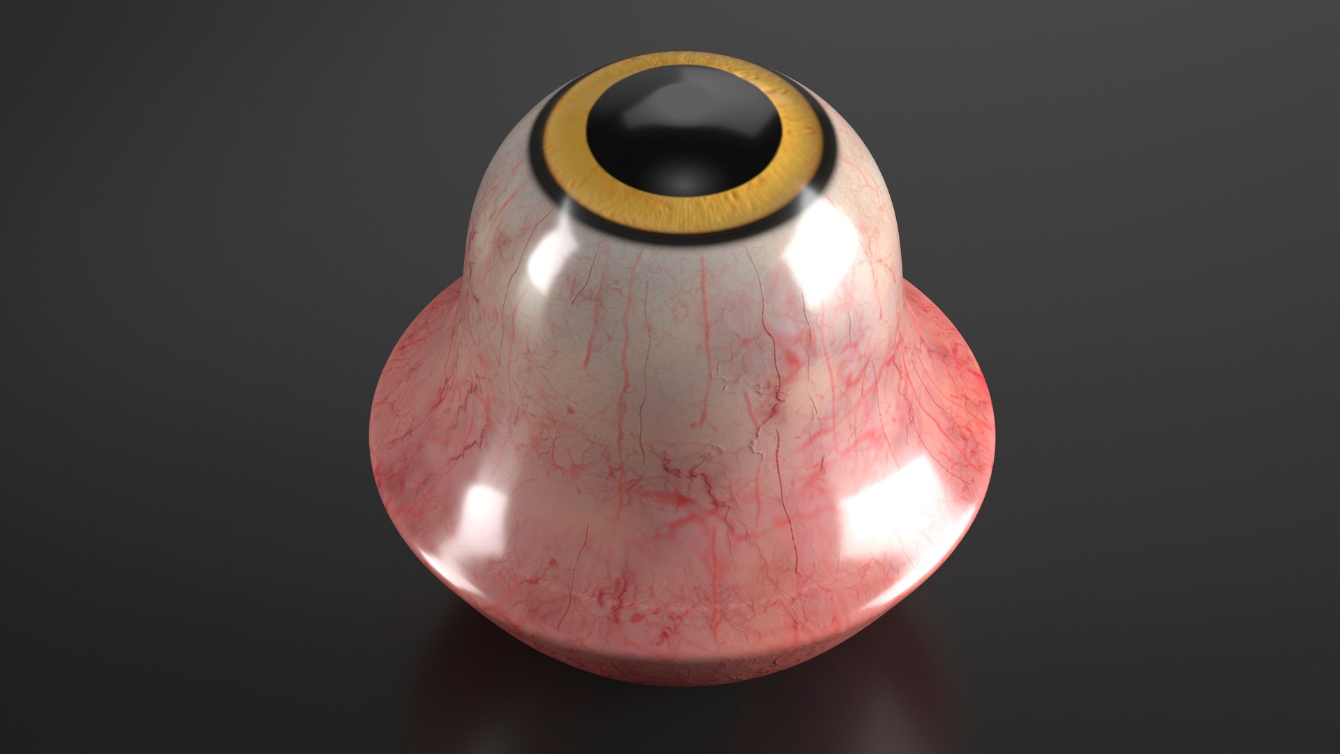 Realistic Animal Eyes Collection 2 3D Model - TurboSquid 2207612