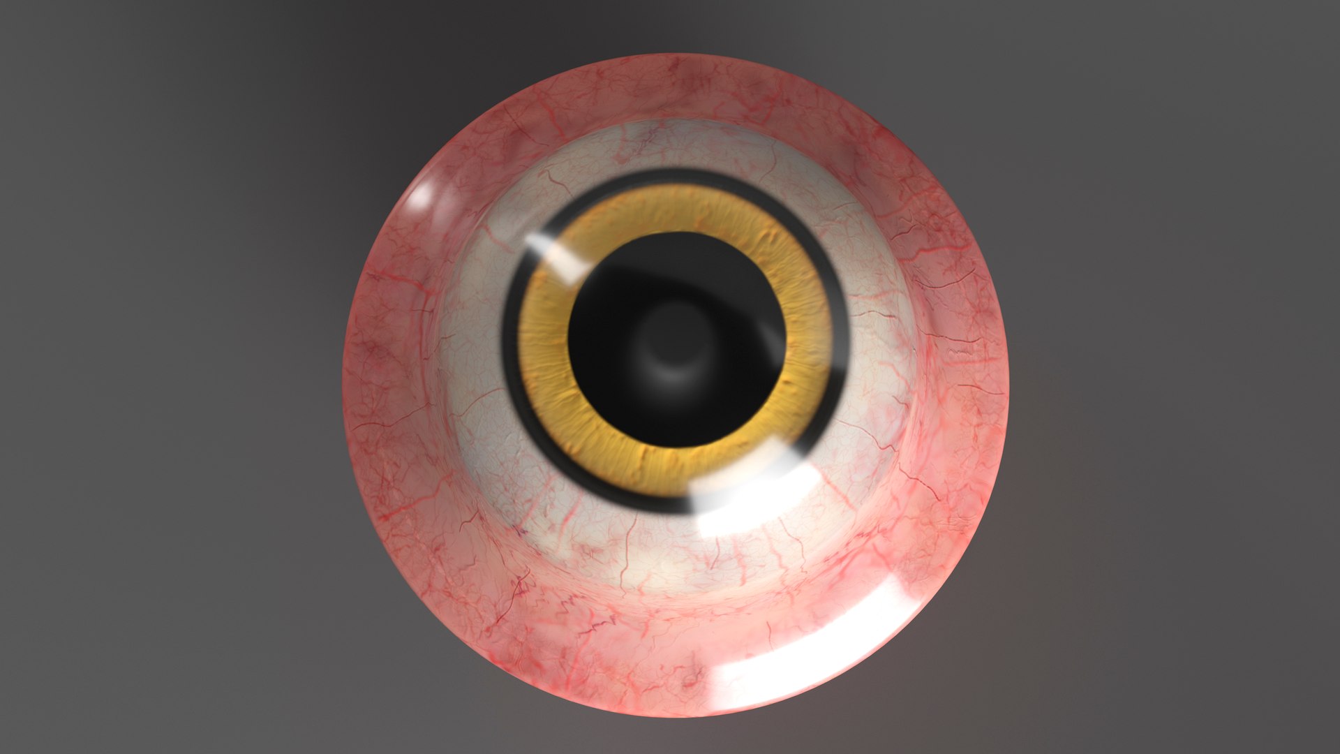 Realistic Animal Eyes Collection 2 3D Model - TurboSquid 2207612