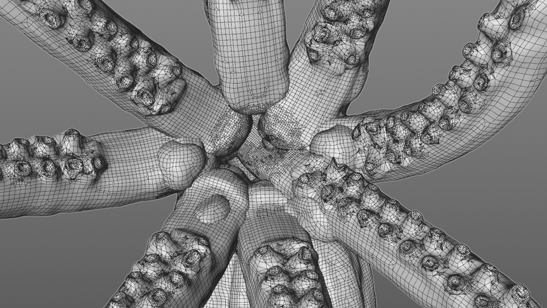 Octopus model - TurboSquid 1887969