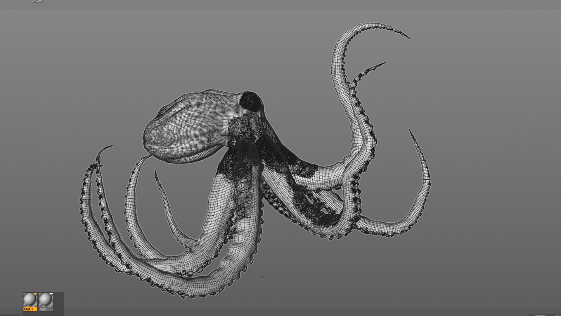 Octopus model - TurboSquid 1887969