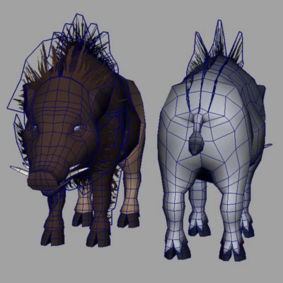 3d Model Wild Boars