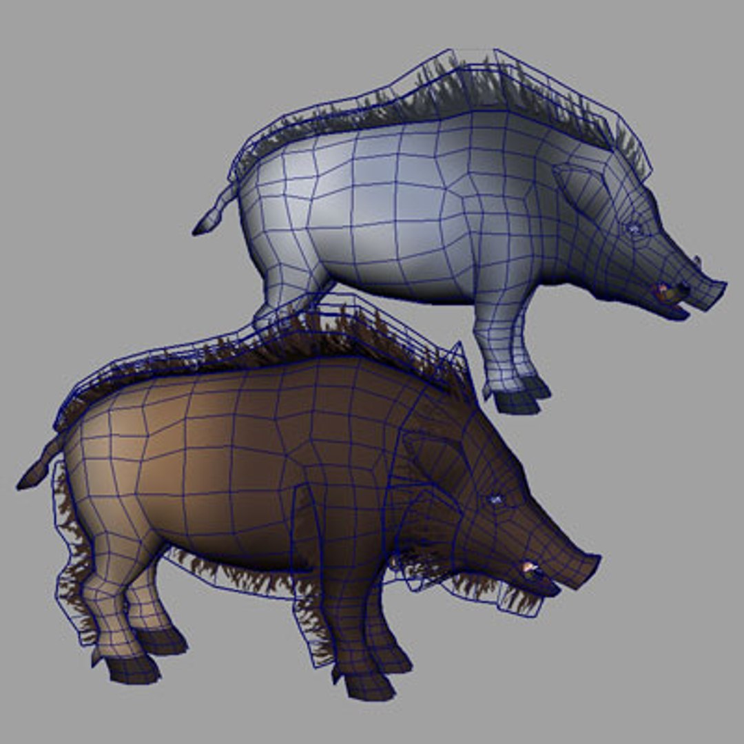 3d Model Wild Boars