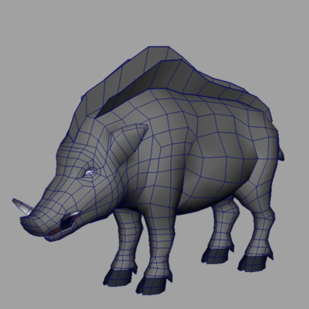 3d Model Wild Boars