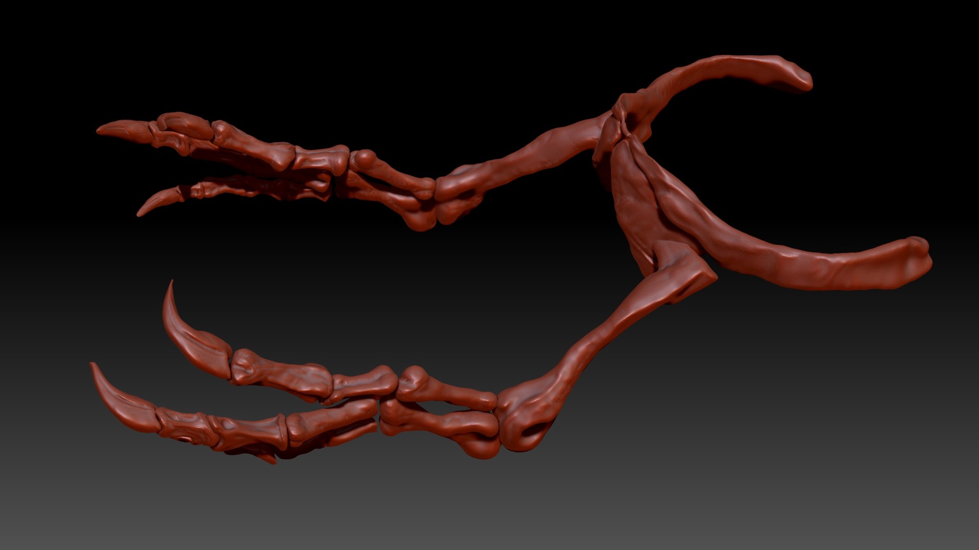 Spinosaurus Arm Skeletons Set 3D Model - TurboSquid 1714689