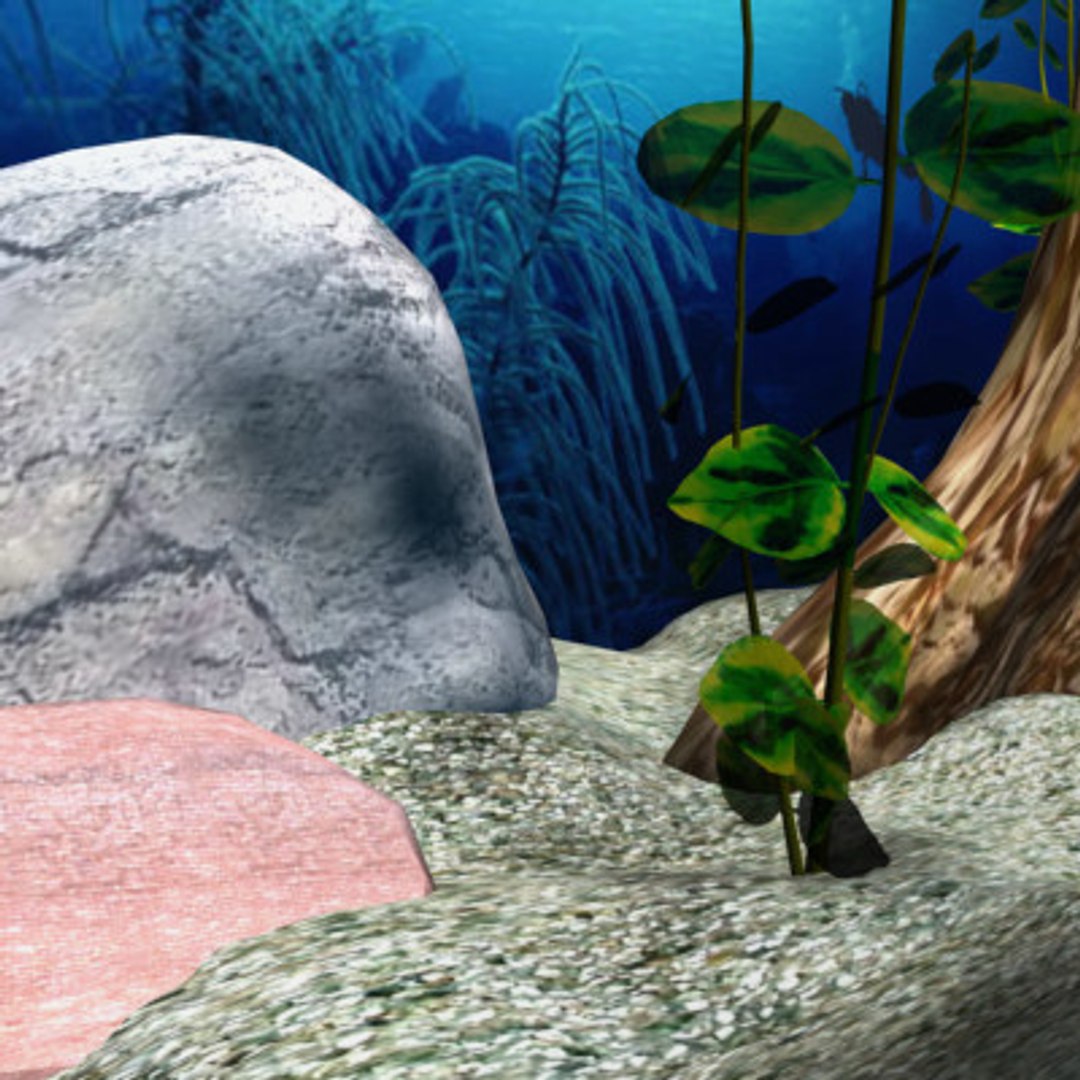 Fish Tank 3d Model