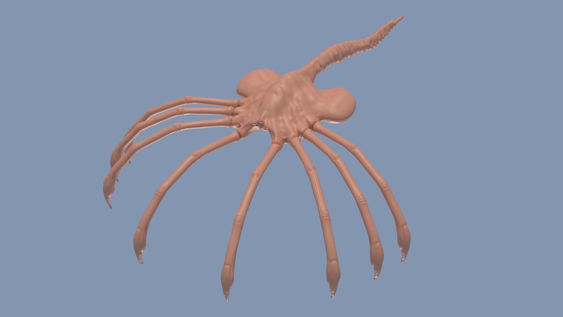 Alien Face Hugger 3D Model - TurboSquid 2235230
