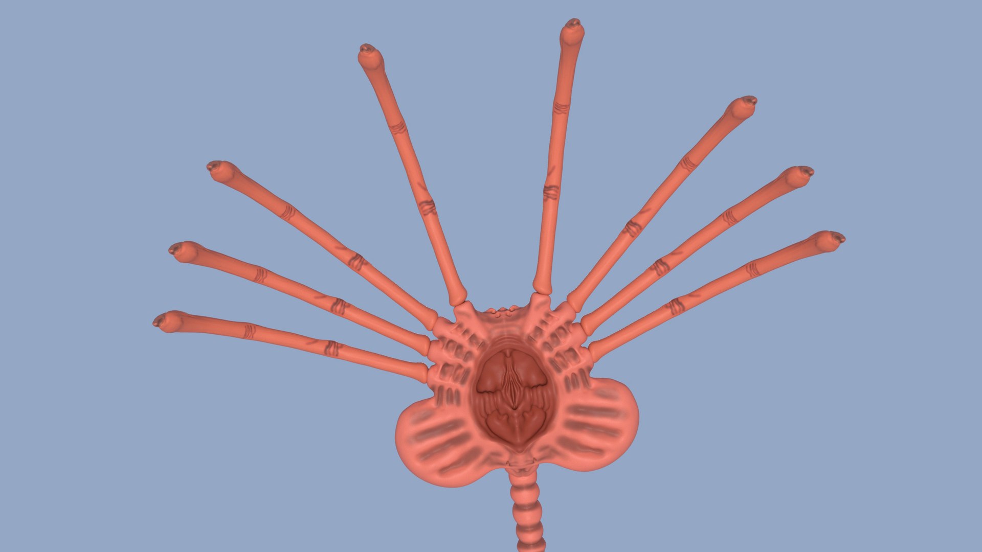 Alien Face Hugger 3D Model - TurboSquid 2235230