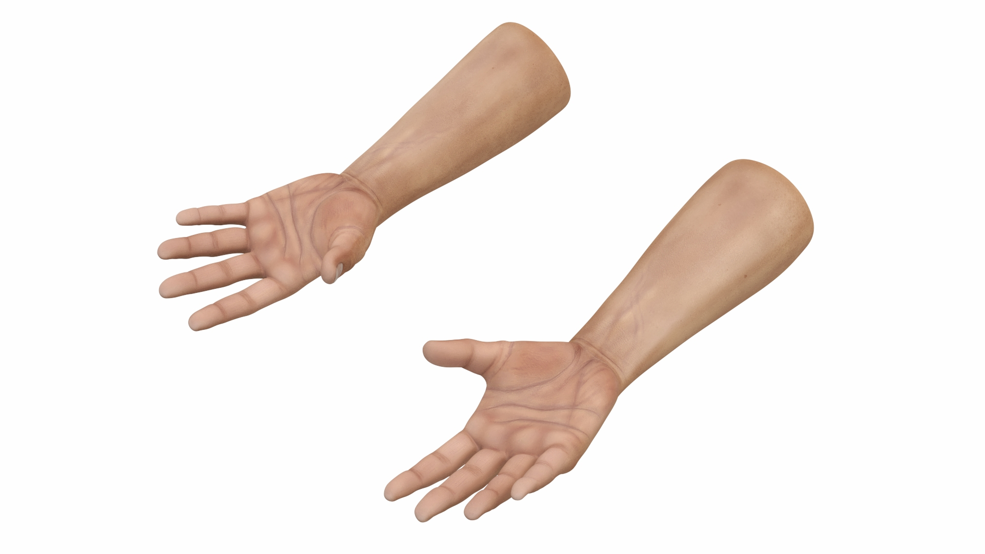 Man Hands Rigged For Maya 3D Model - TurboSquid 2199783