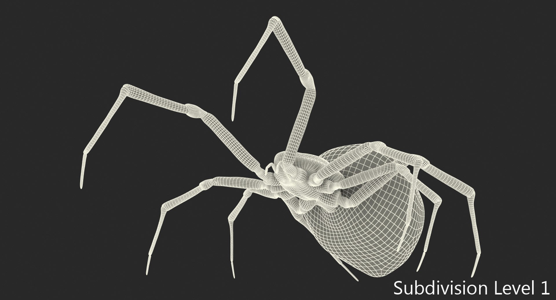 3D Widow Spider Fighting Pose Model - TurboSquid 1164259
