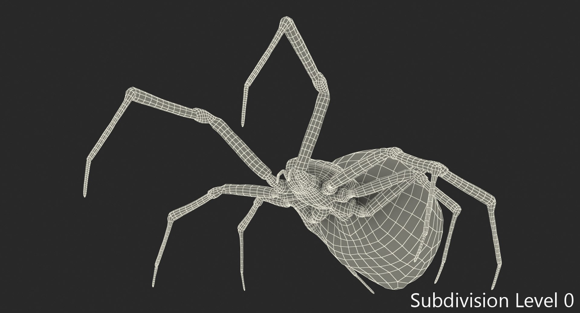 3D Widow Spider Fighting Pose Model - TurboSquid 1164259