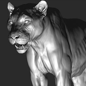 Leopard panthera pardus realistic model - TurboSquid 1539676