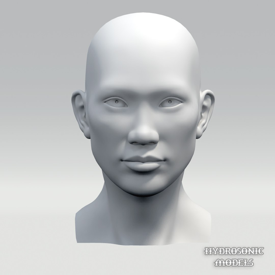 Asian Female Head 3d Model