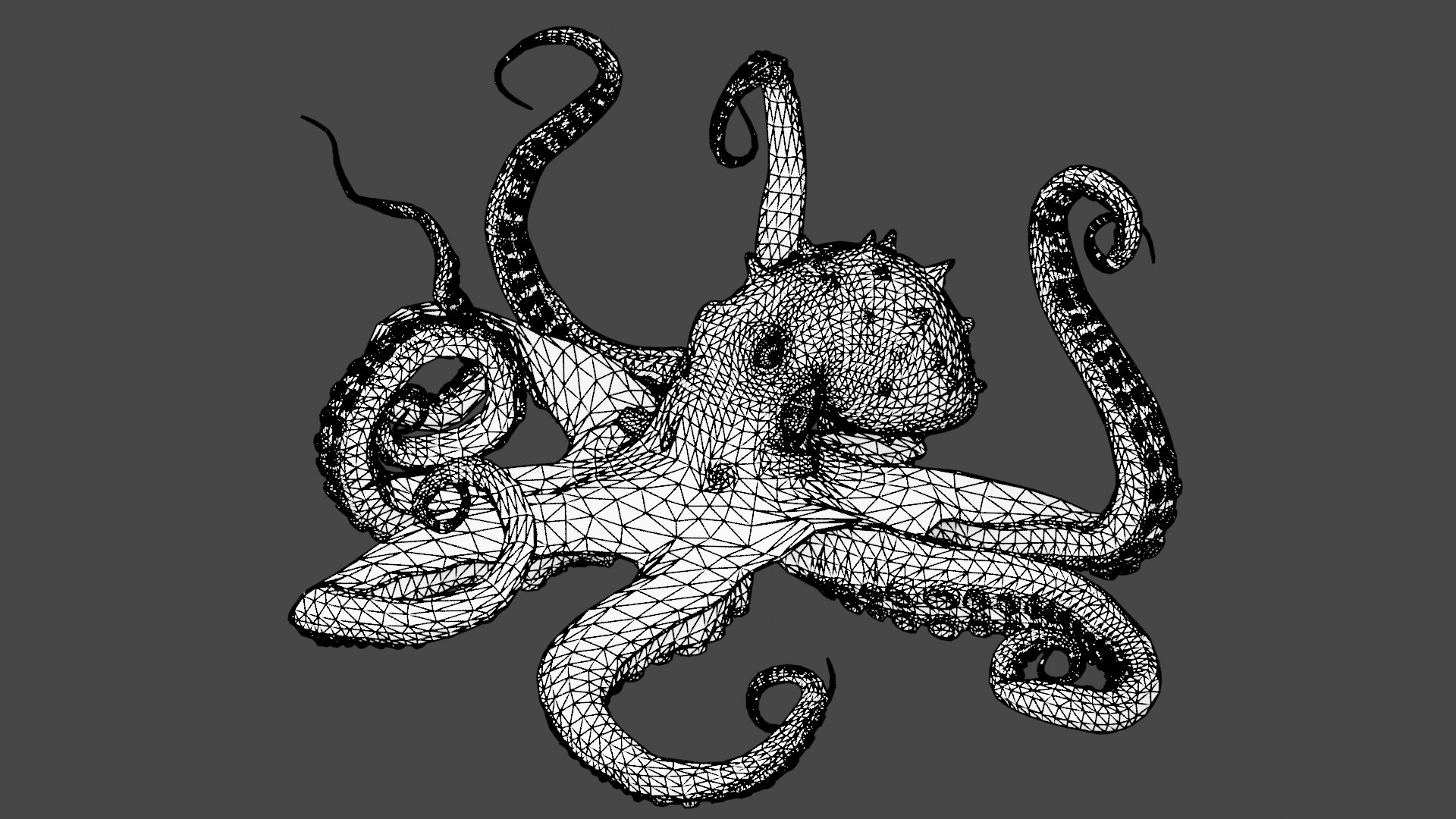 3D Model Octopus And Tentacle Of Octopus - TurboSquid 2118534