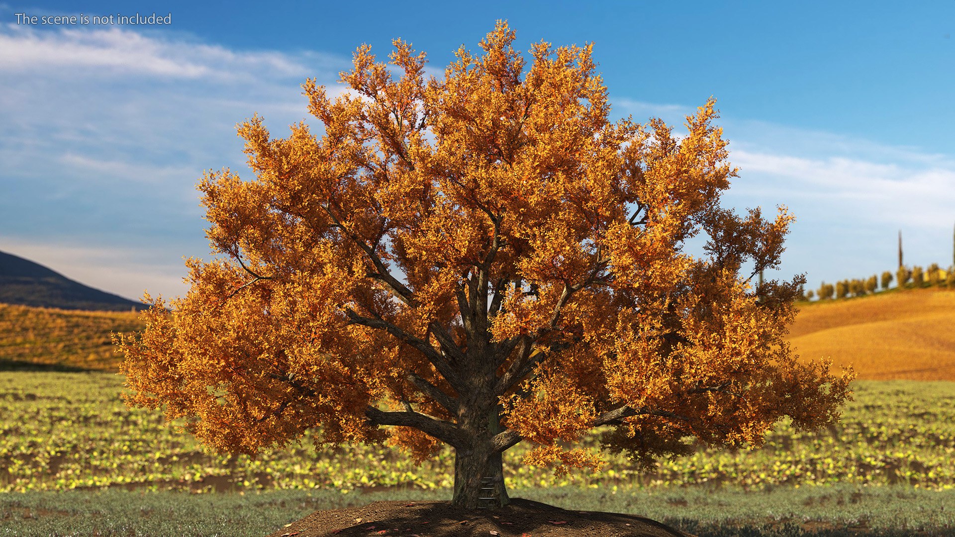 3D Model Autumn Oak Tree - TurboSquid 2201969