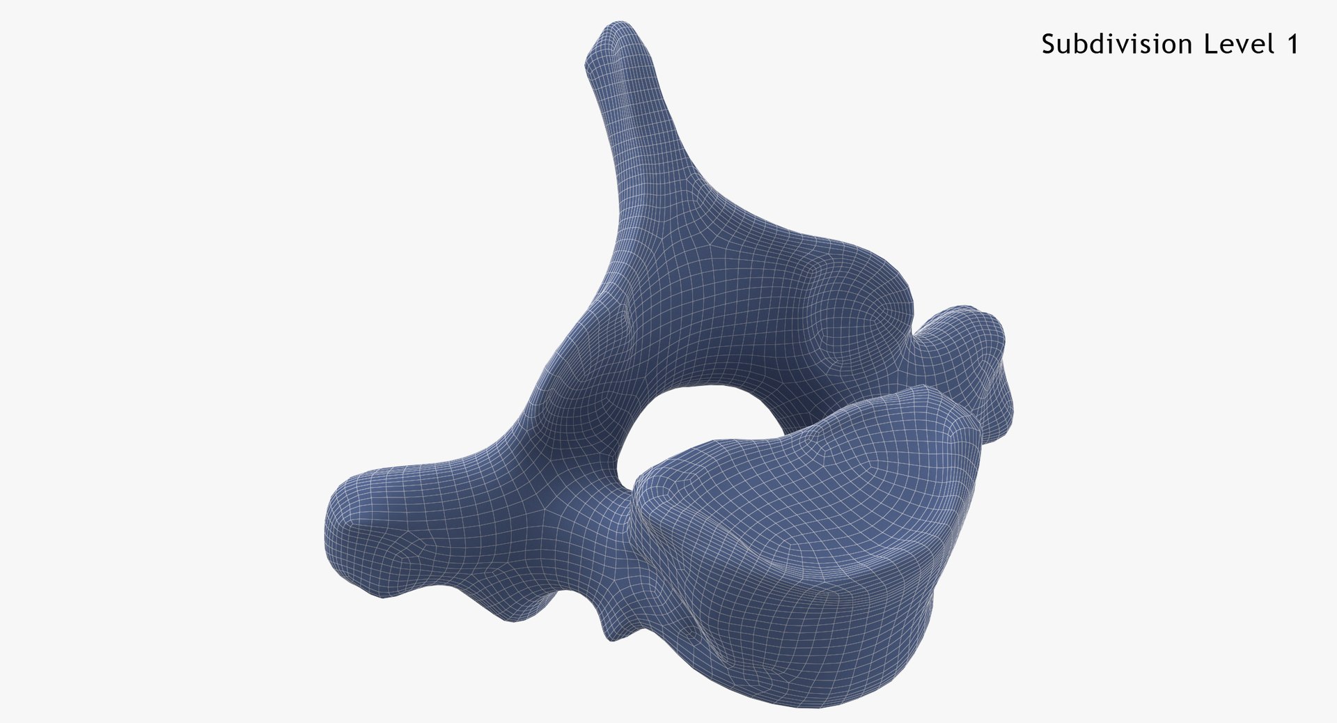 3D thoracic vertebrae th1 th12 - TurboSquid 1600278
