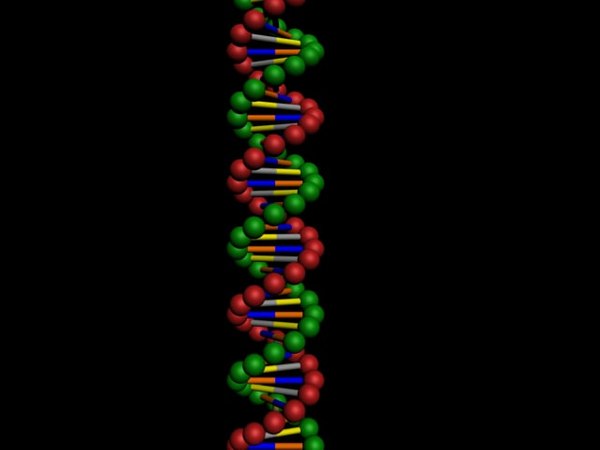 Free DNA 3D Models for Download | TurboSquid