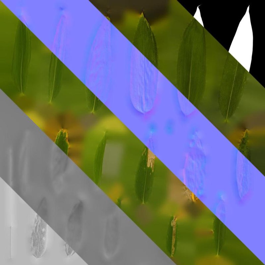 3D Anydrafts Sasa Pygmaea Leaf 01 Textures - TurboSquid 2345480