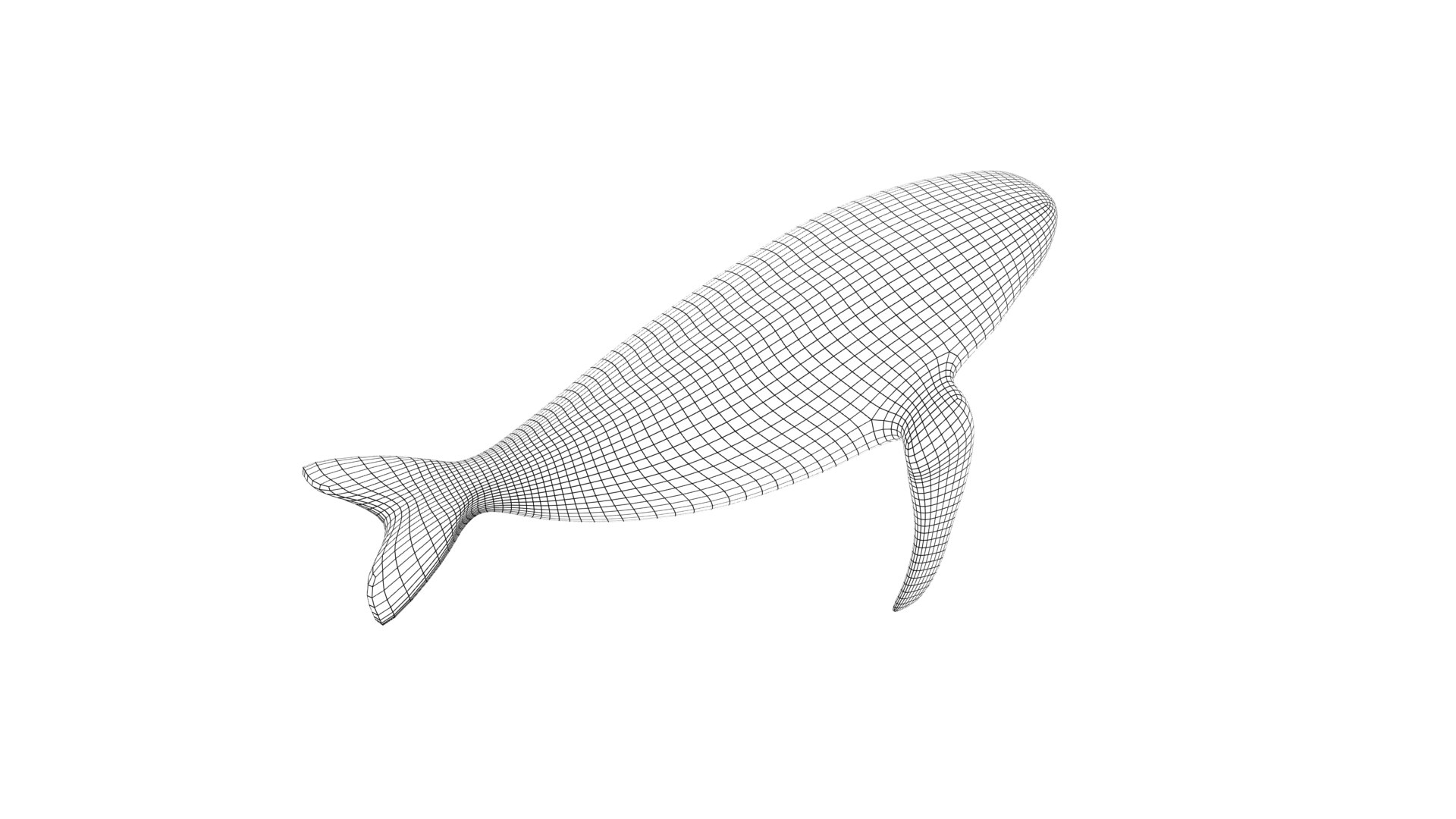 Simple Whale 3D Model - TurboSquid 1535780