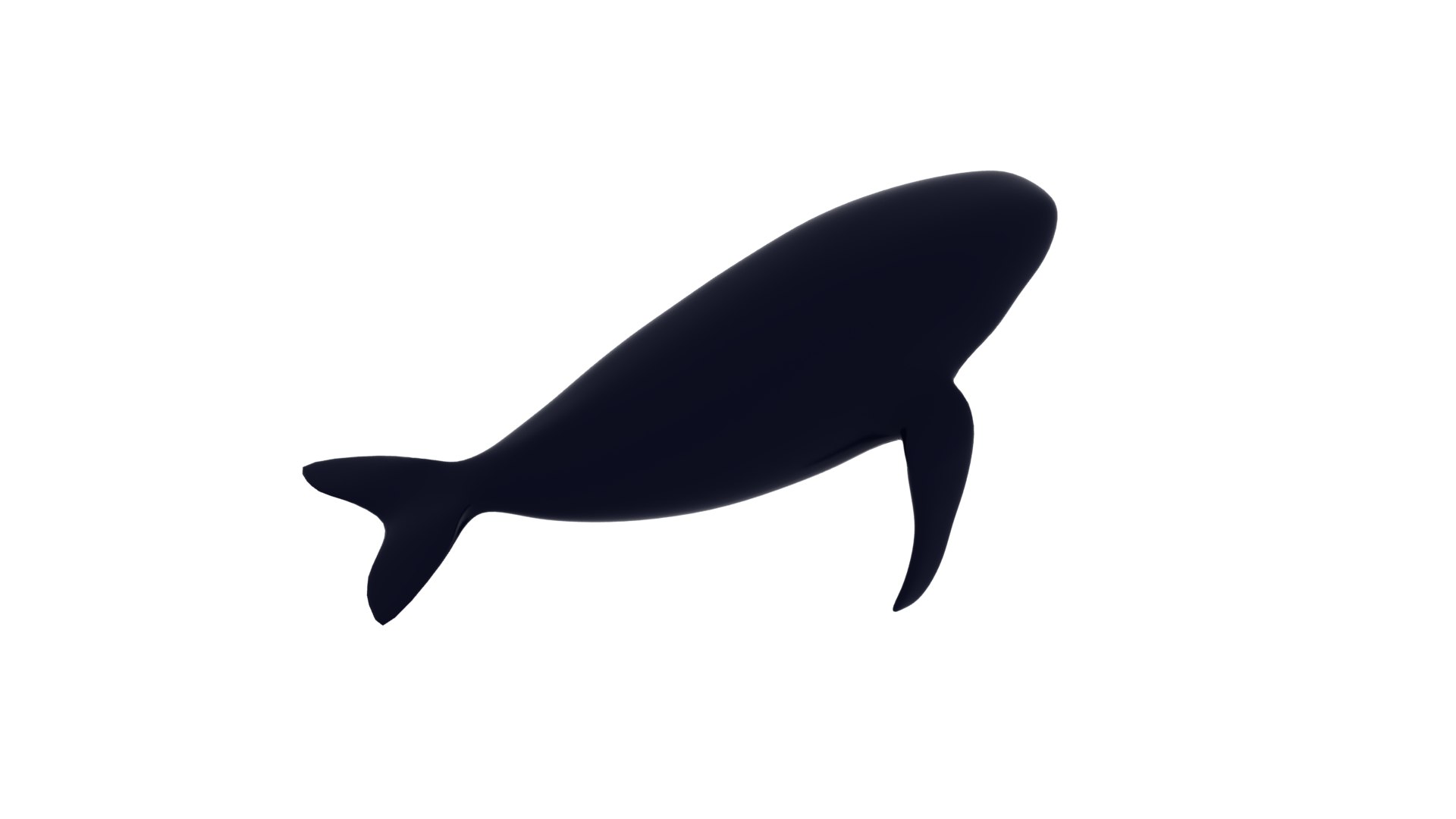 Simple Whale 3D Model - TurboSquid 1535780