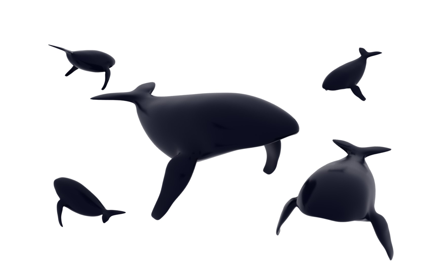 Simple Whale 3D Model - TurboSquid 1535780