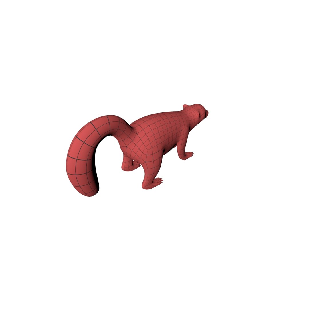 Base Mesh Skunk 3d C4d