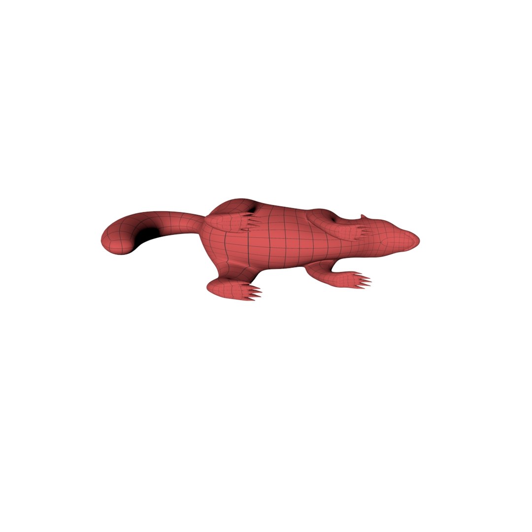 Base Mesh Skunk 3d C4d