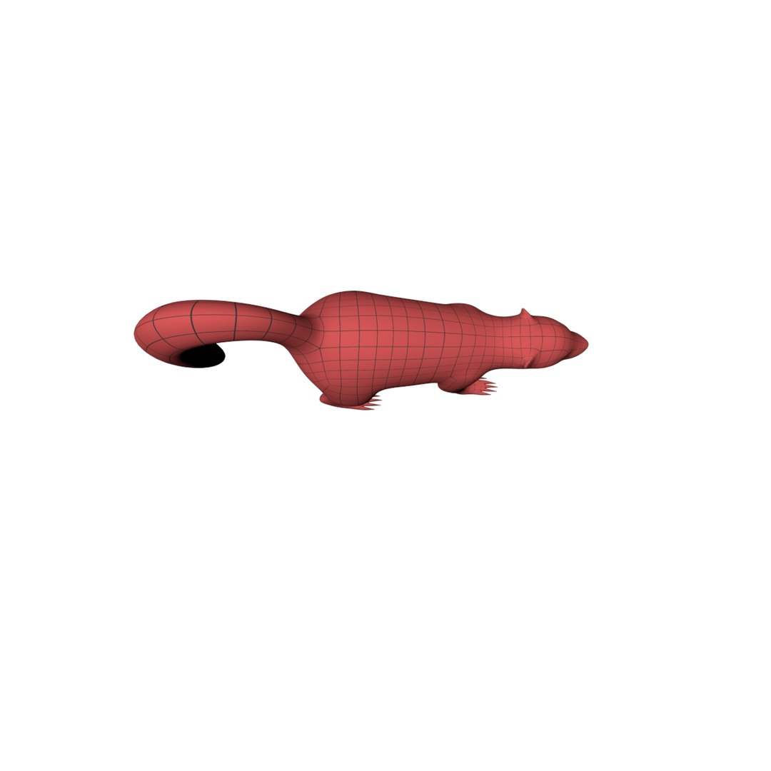 Base Mesh Skunk 3d C4d