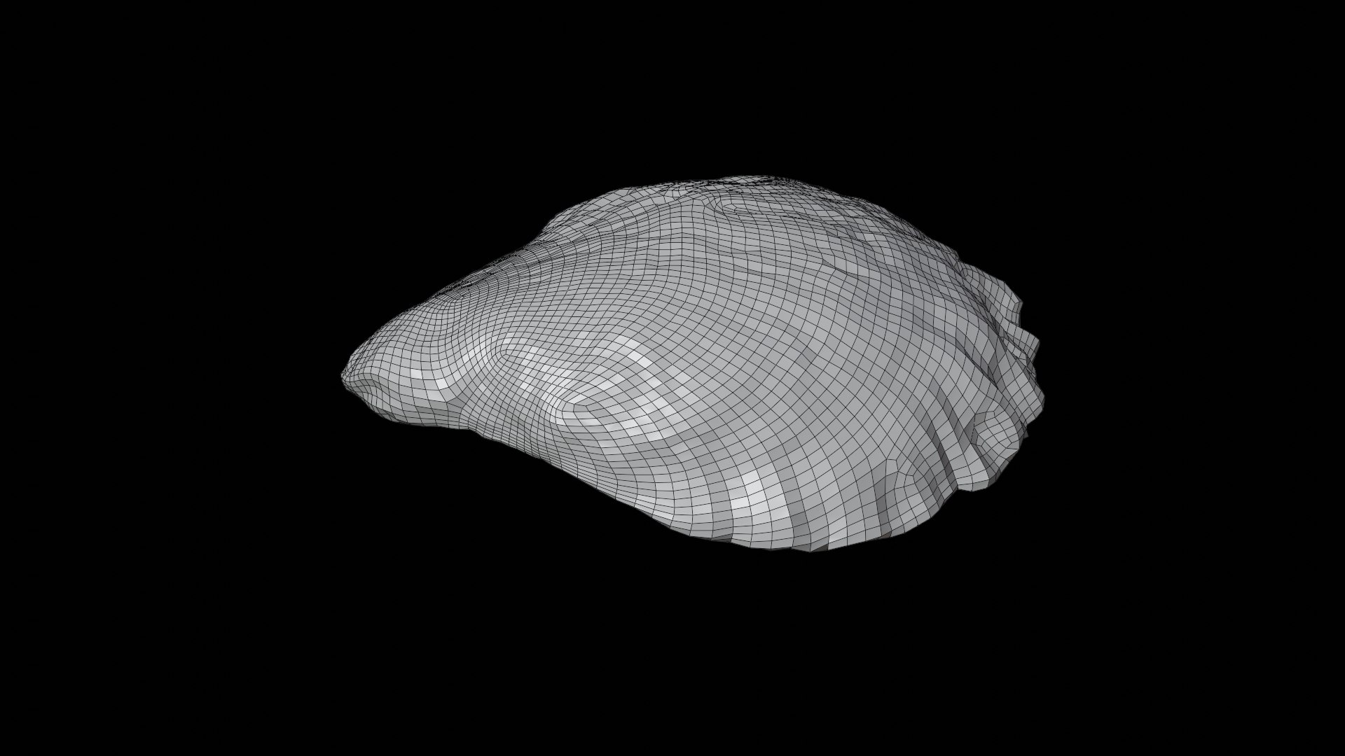 Sea Shell 01 Model - TurboSquid 1952683