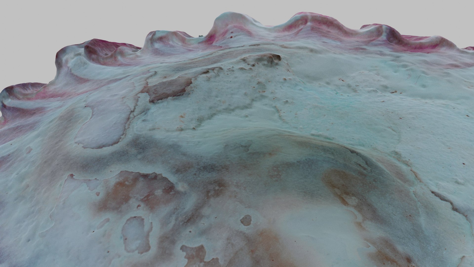 Sea Shell 01 Model - TurboSquid 1952683