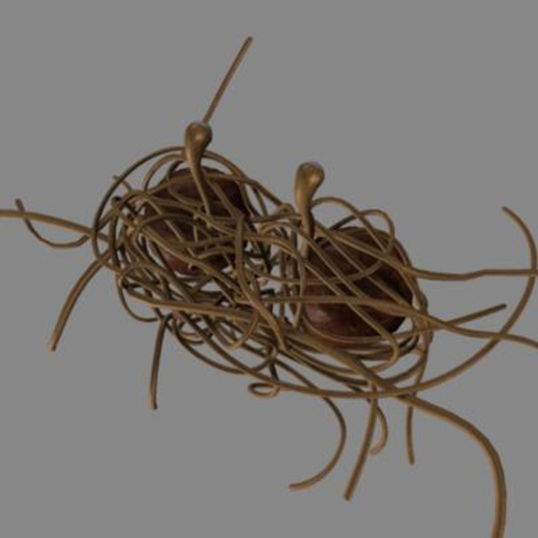 Flying Spaghetti Monster 3d Model