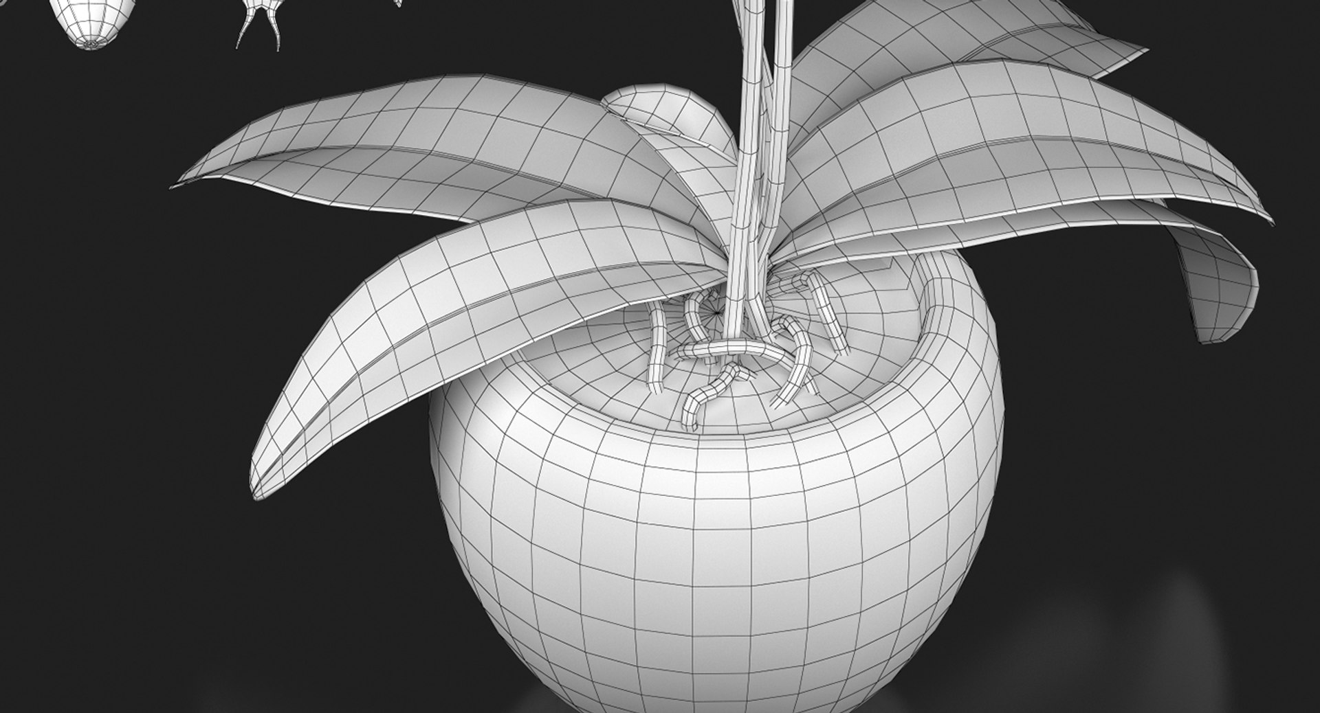 3d Orchid Flower