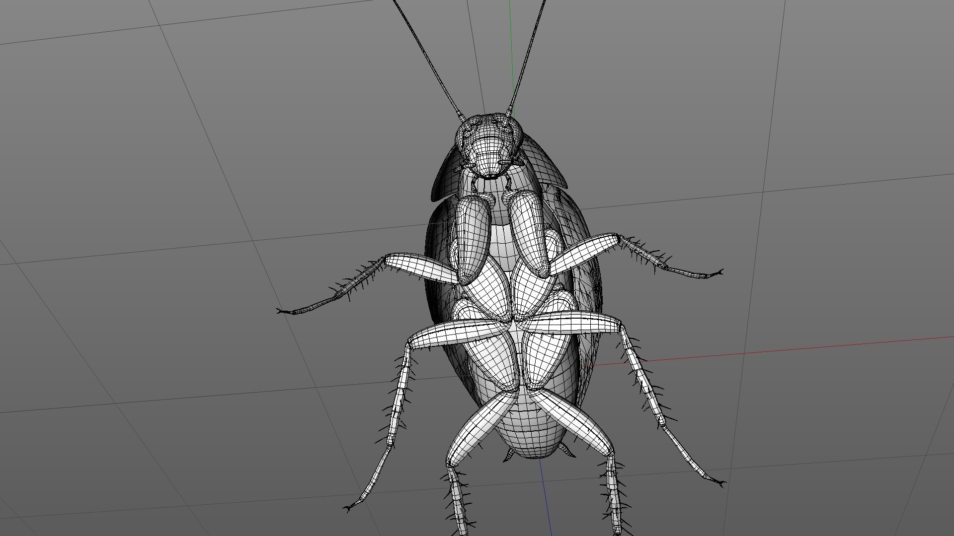 3D Insect Cockroach Model - TurboSquid 1687780