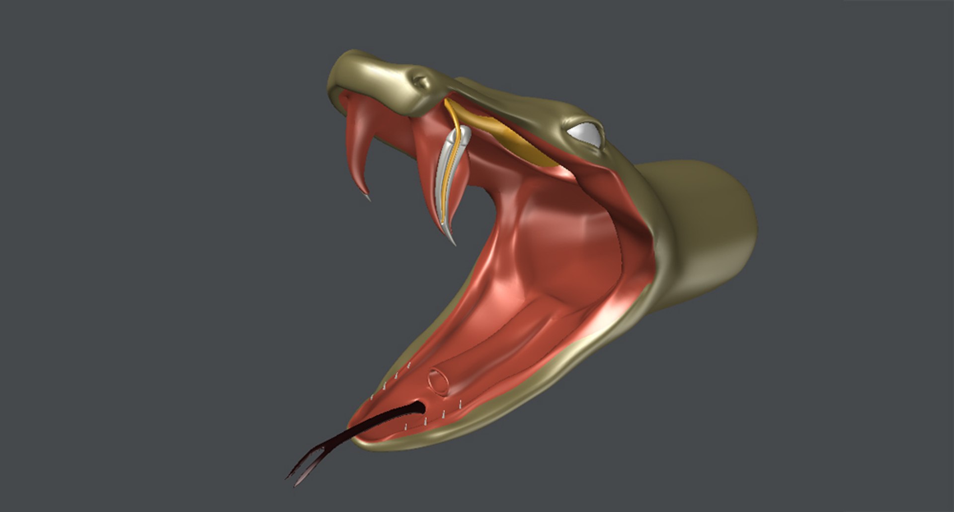 3d Model Of Snake Head