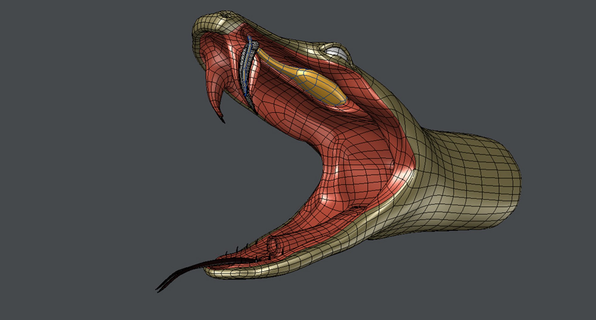 3d Model Of Snake Head