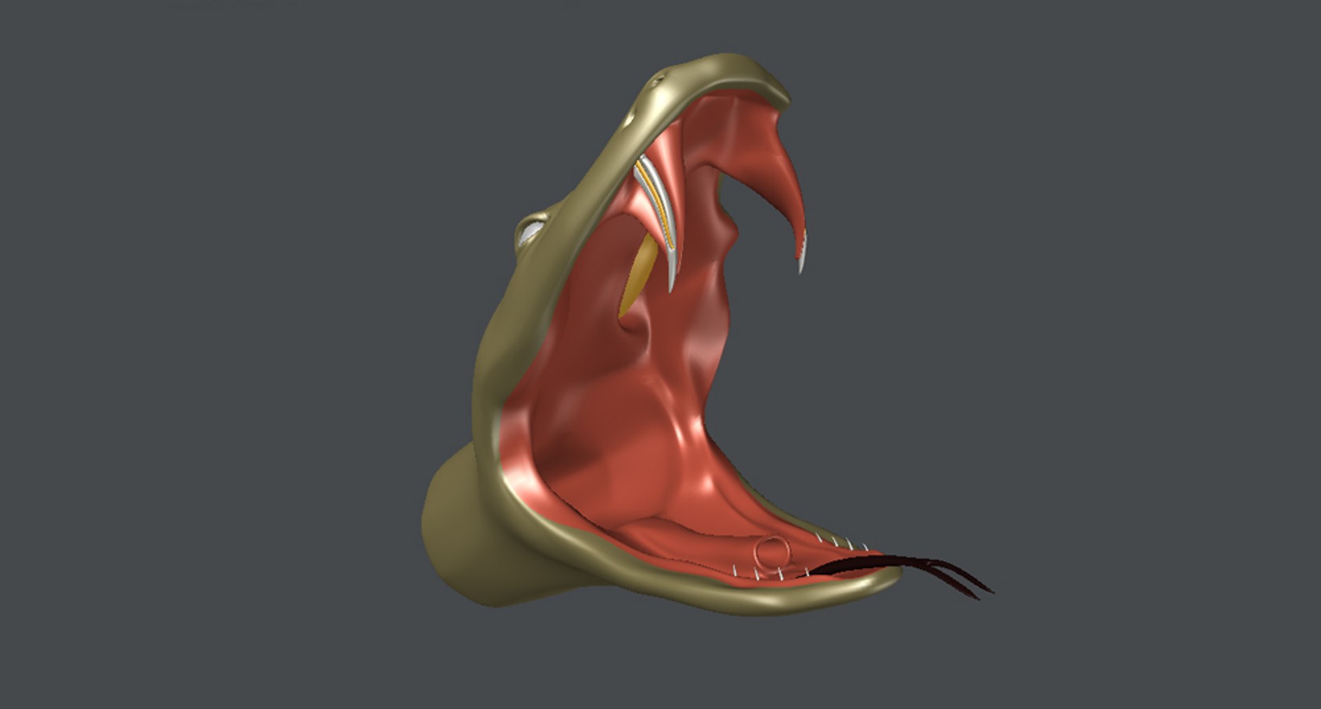 3d Model Of Snake Head