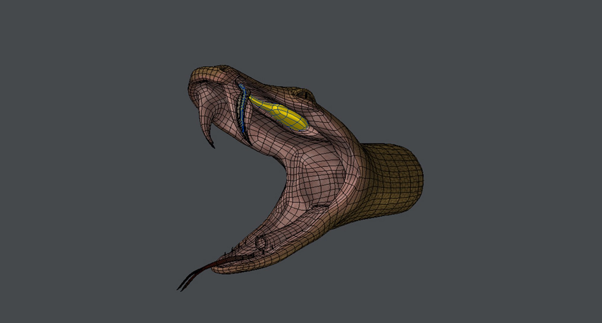 3d Model Of Snake Head