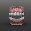 Gums Tooth Teeth 3d Model