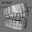 Gums Tooth Teeth 3d Model