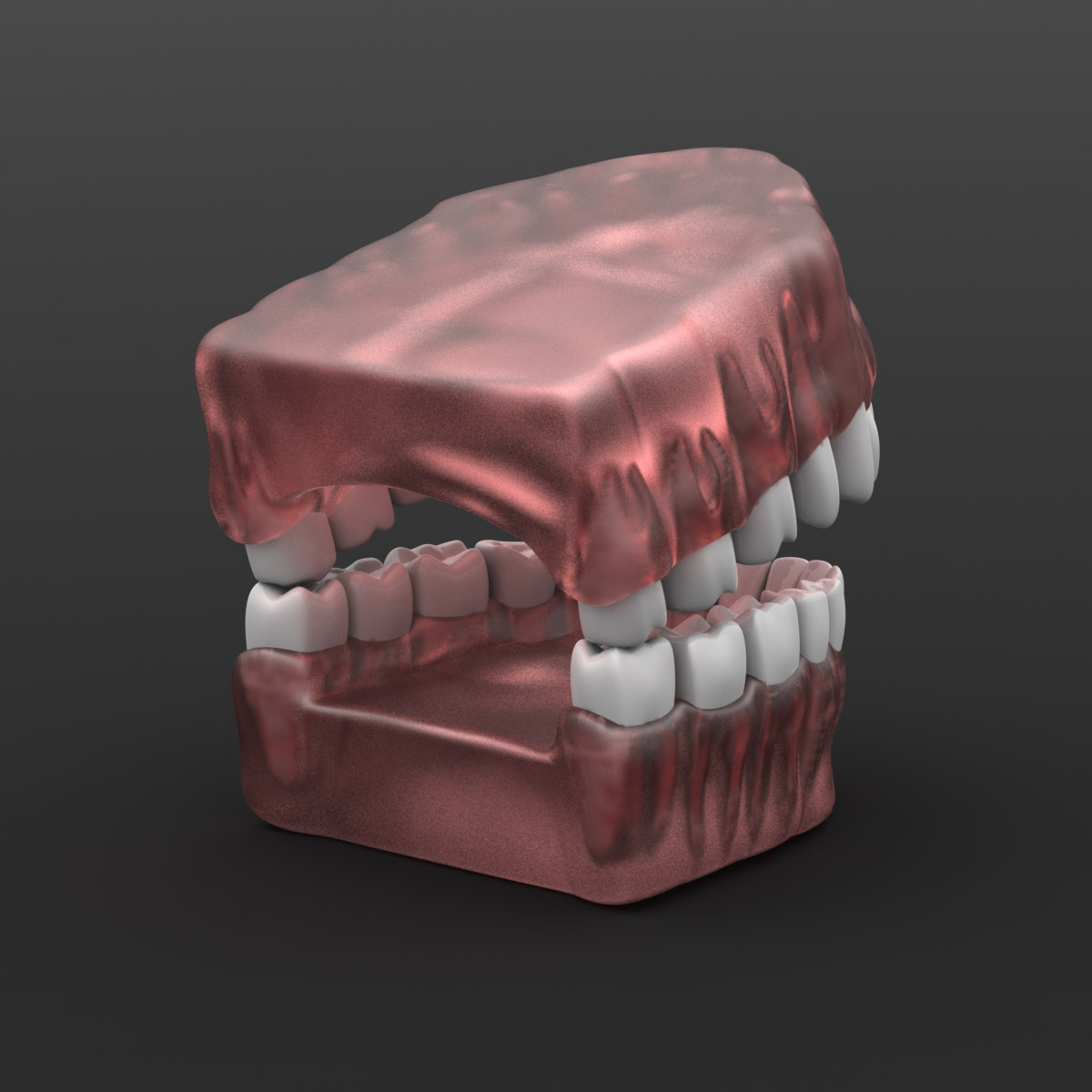 gums tooth teeth 3d model
